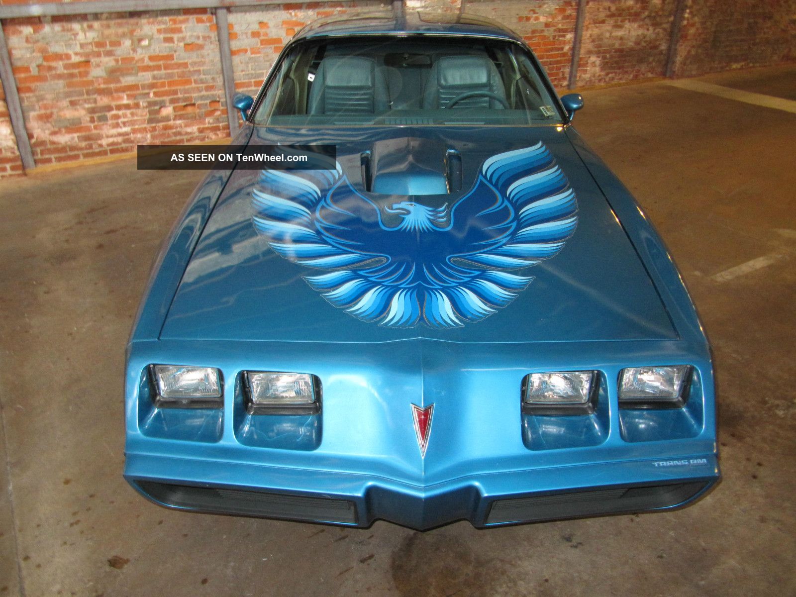 1979 Trans Am Documented 21, 450 Mile Survivor