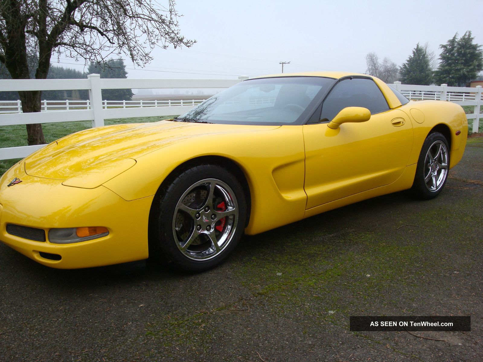 Striking Yellow 2001 C5 Corvette 6 Speed American Sports Car Determined ...