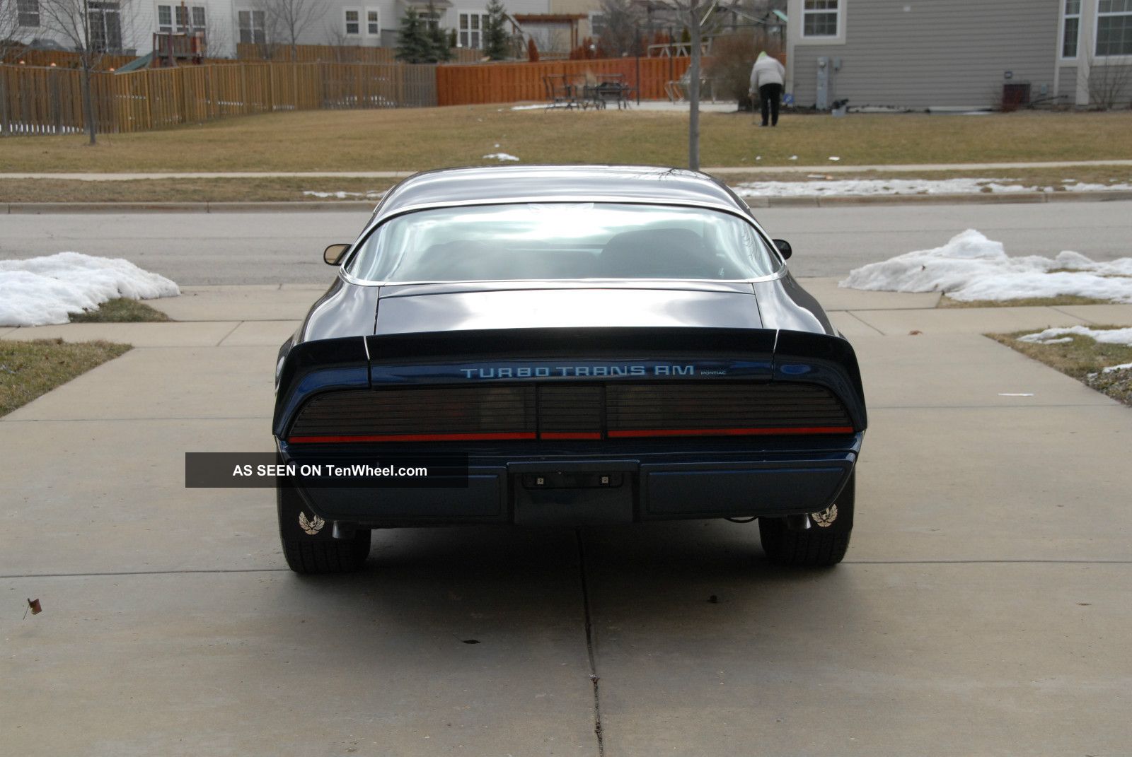1980 Pontiac Trans Am Firebird - Rust Time Capsule, Rare Find ...