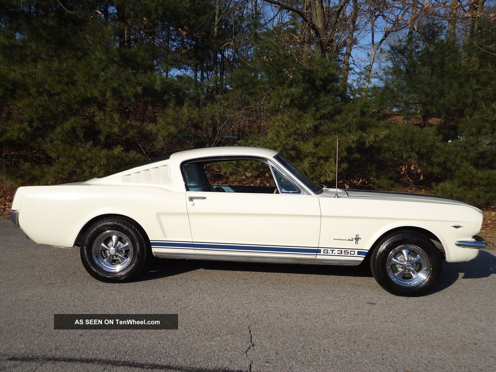 1965 Ford Mustang 2+2 Fastback Shelby G. T. 350 Clone V - 8 Ford Racing ...