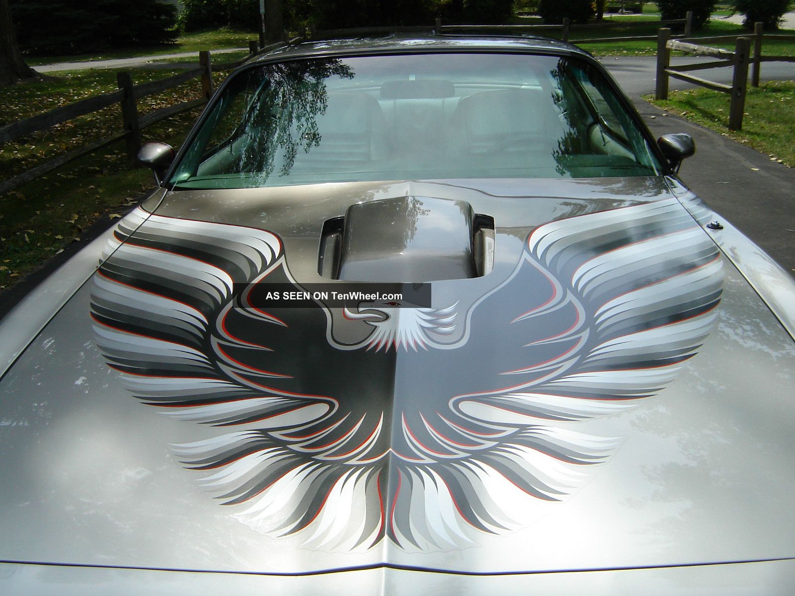 1979 10th Anniversary Edition Trans Am