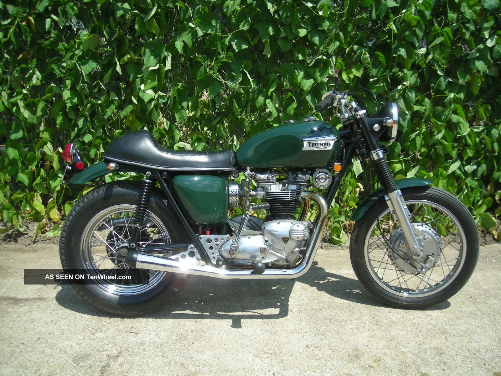 1965 Triumph 650 Tr6sc Customized And Functional Sweet Head - Turner