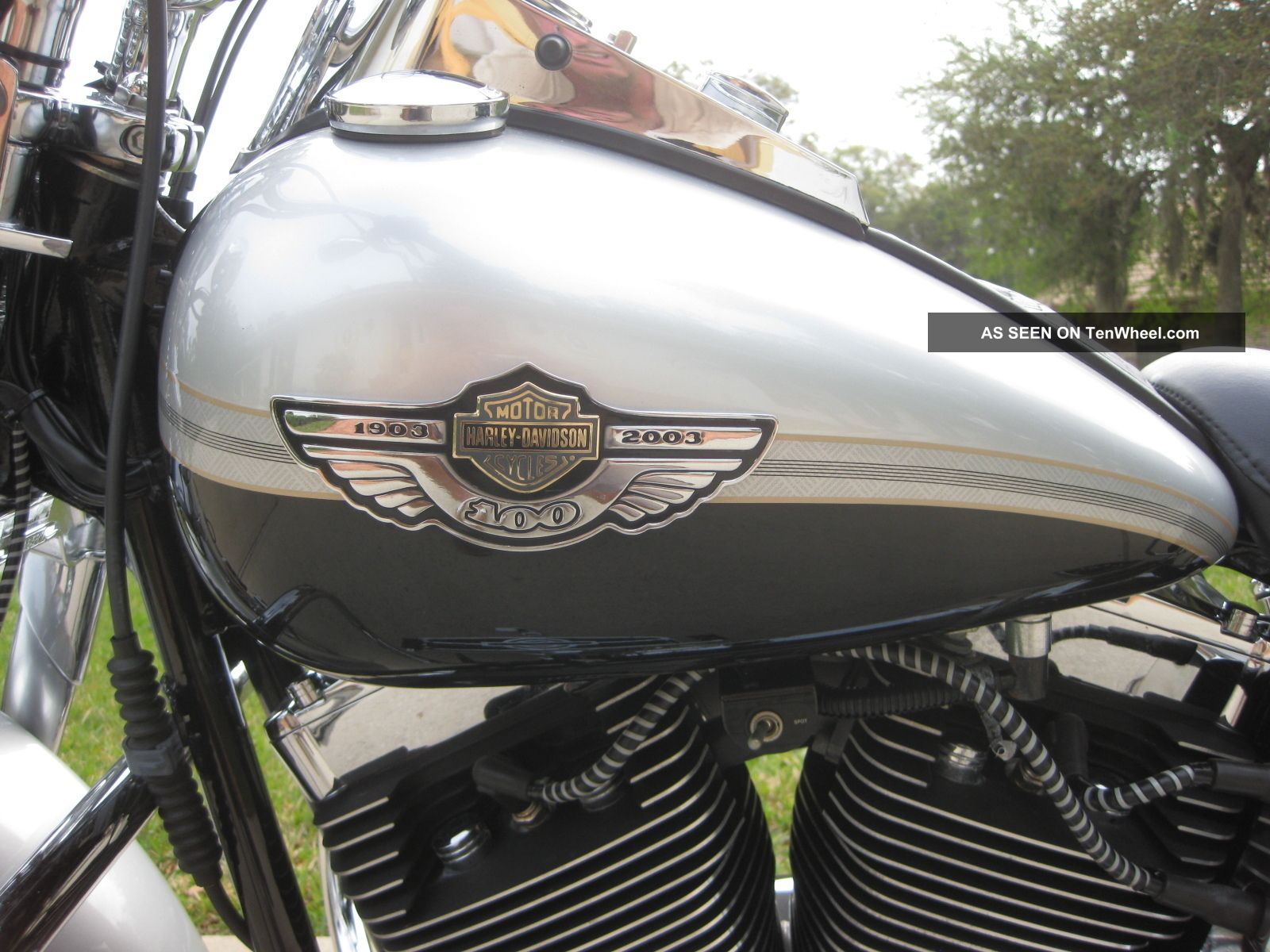 2003 Harley Davidson Flstsi Heritage Springer Softail 100th Anniversary ...