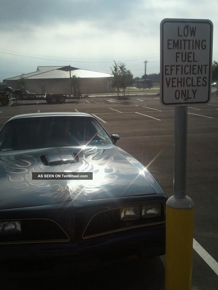 1977 Trans Am Pontiac Firebird, Pro - Mod, Hot Rod, Muscle Car, Hotrod
