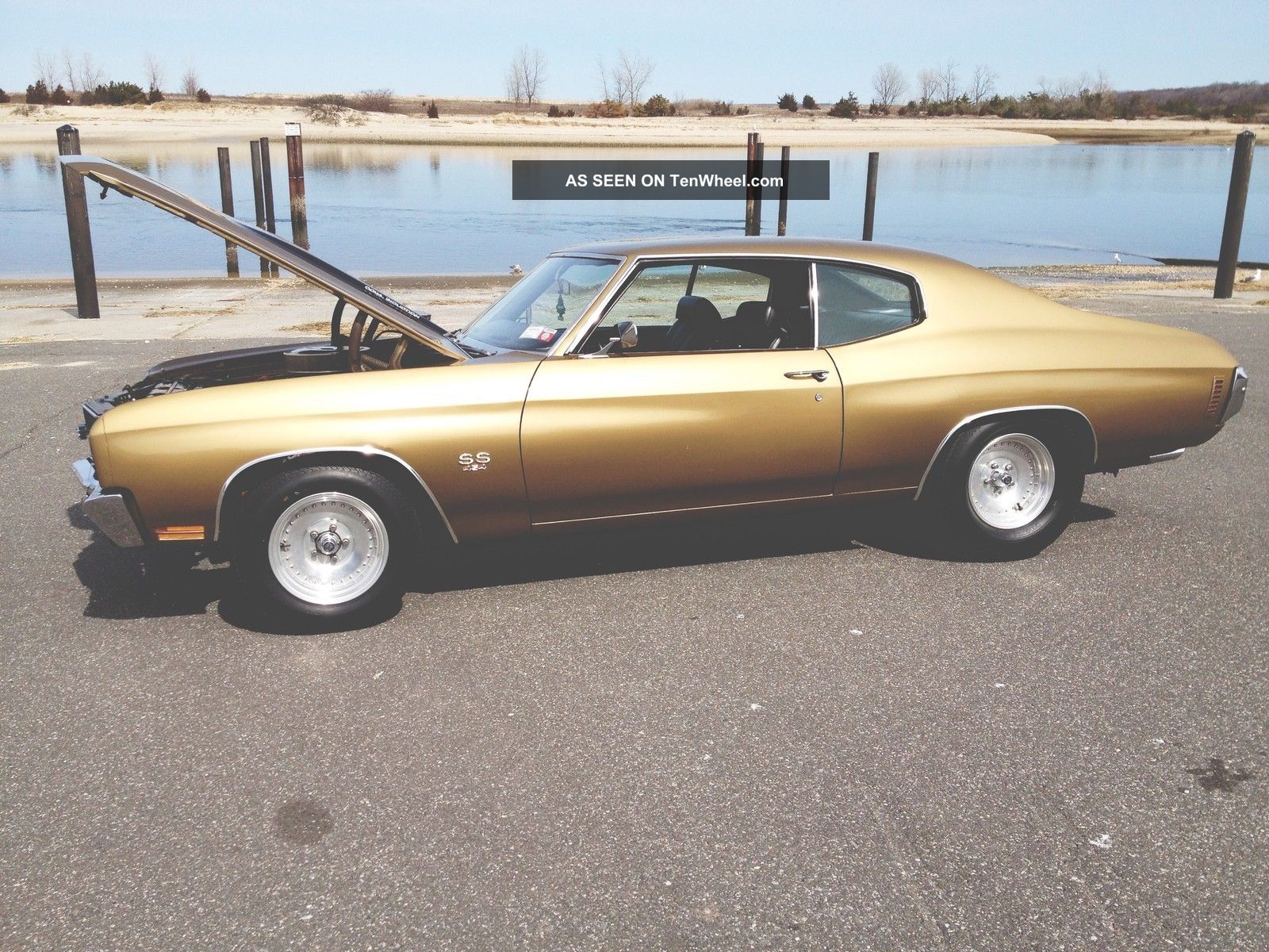 Gold 1970 Chevy Chevelle Ss 454