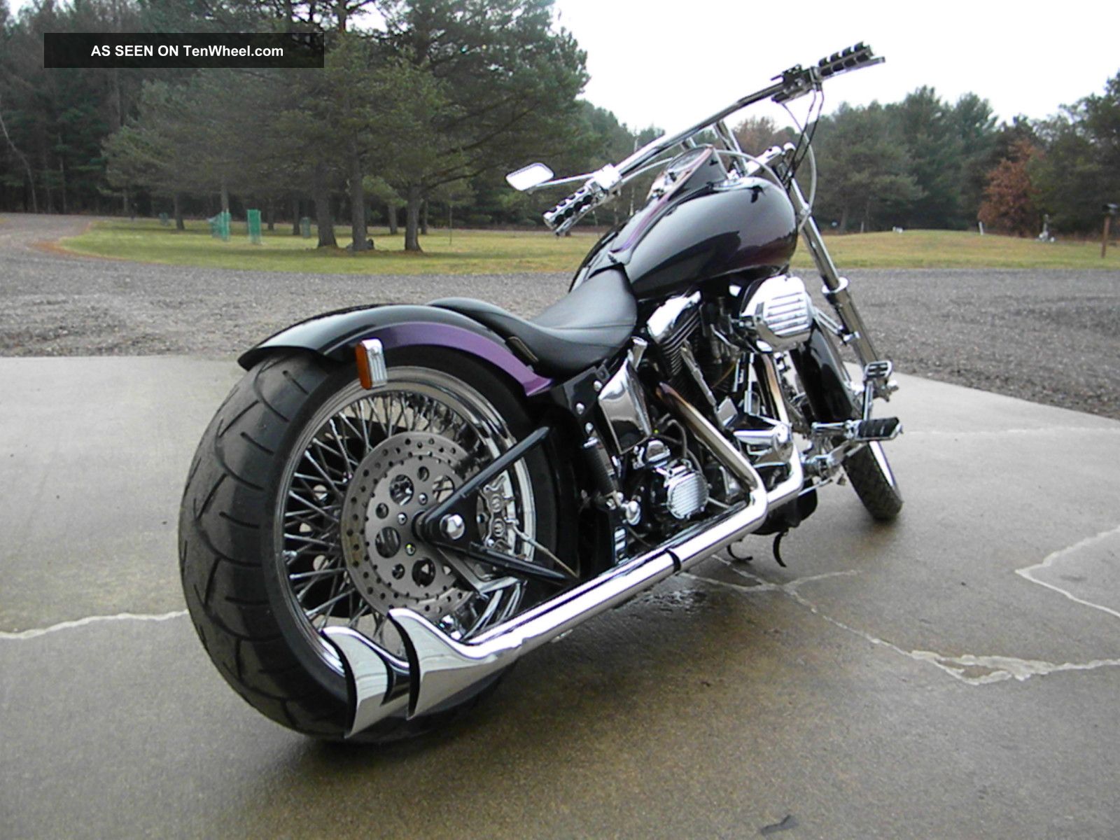 1993 Hd Softtail Custom, All The Bells And Whistles, $32, 000 Invested