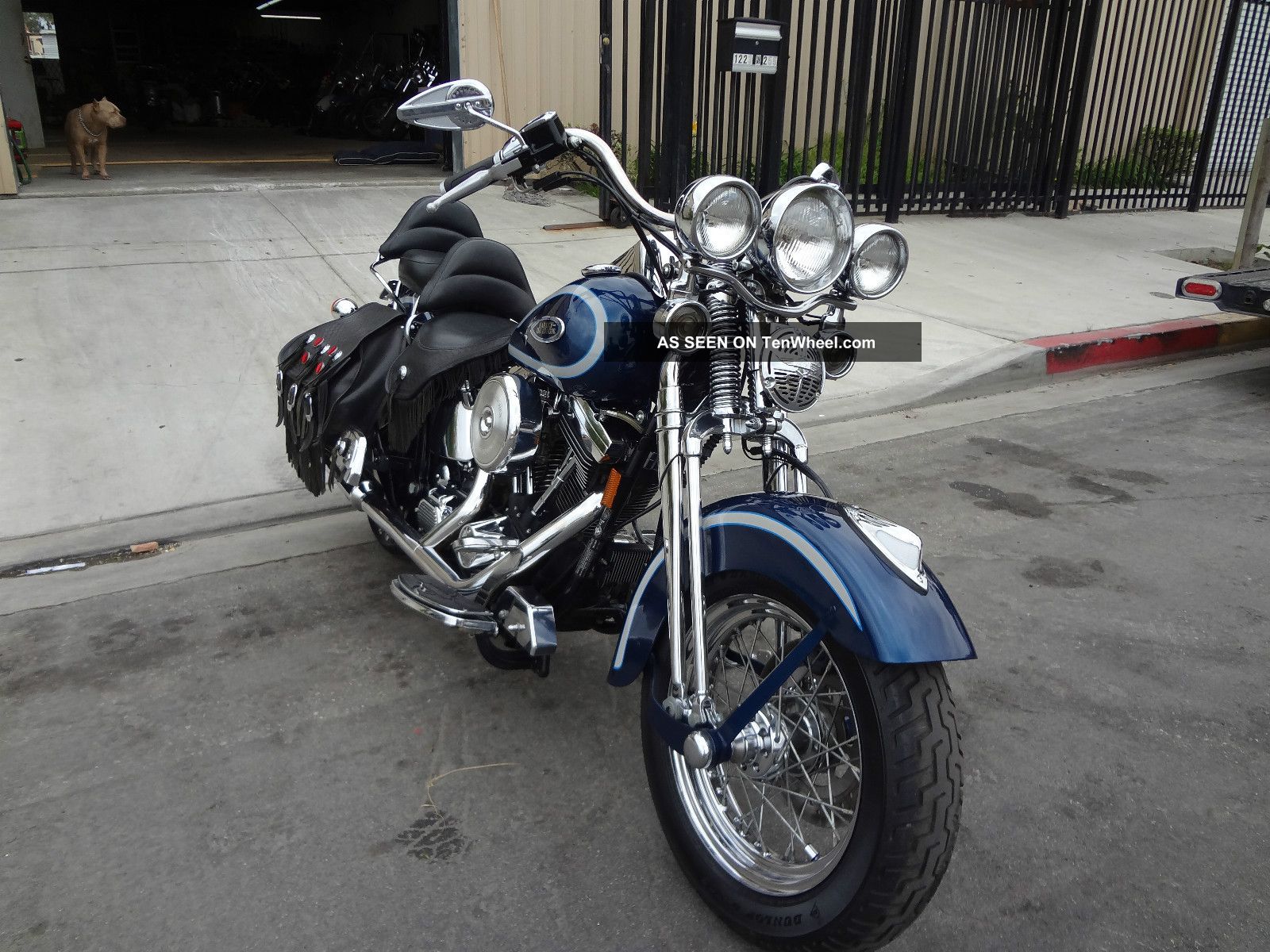 1999 Harley Flsts Heritage Springer