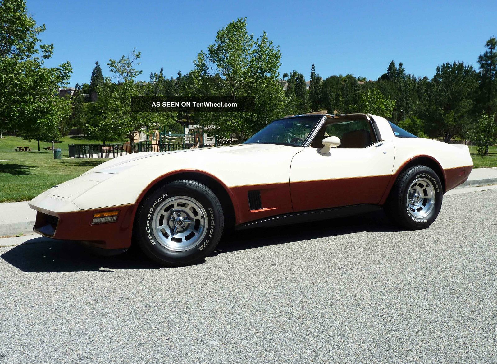 Perfectly Maintained 1981 Corvette 2 Tone Coupe