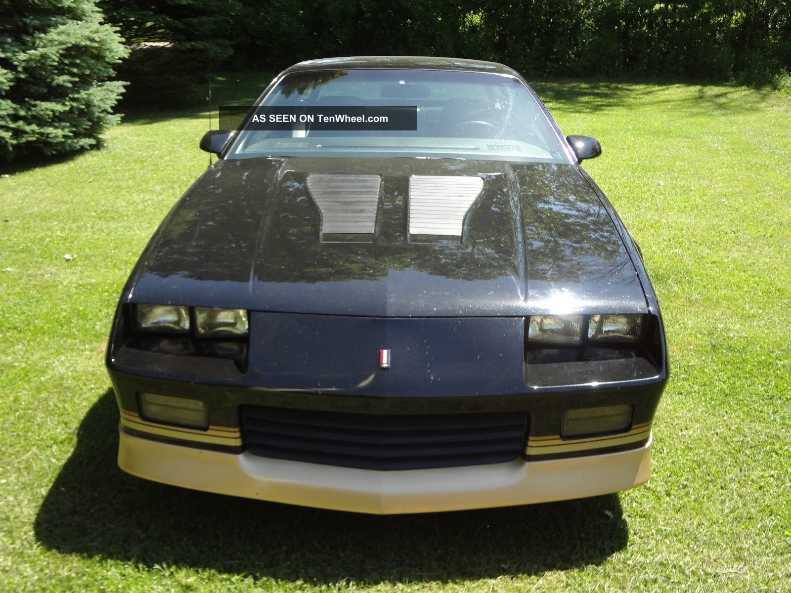 1986 Chevrolet Camaro Z28 Coupe 2 - Door 5. 0l