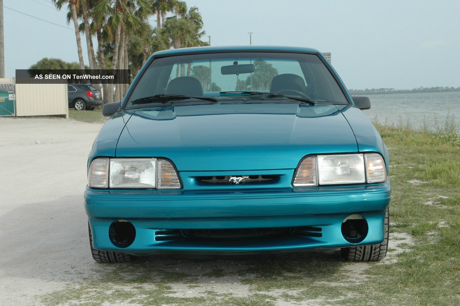 1993 Ford Mustang Svt Cobra Hatchback 2 - Door 5. 0l