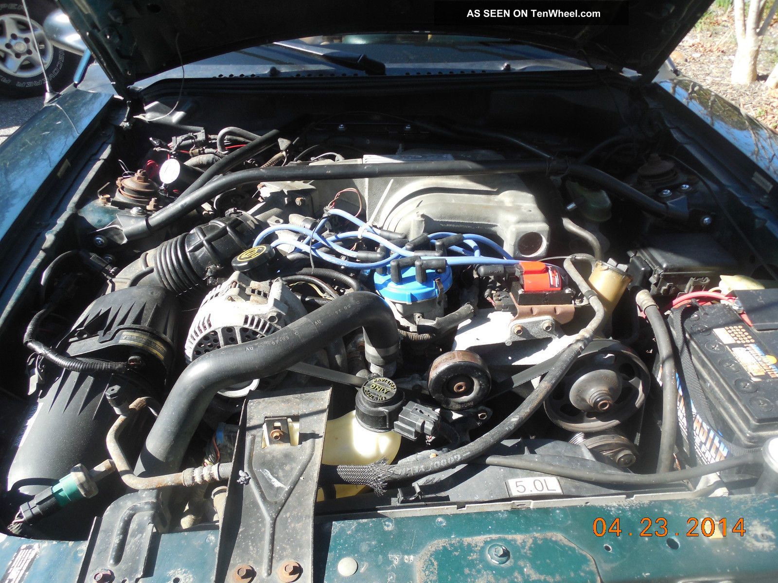 1995 Ford Mustang 5. 0 Liter Gt Coupe 2 - Door - Last Year For The 5. 0 ...