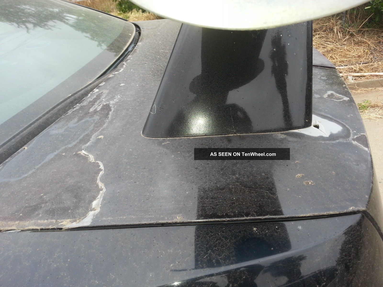 2001 Ford Mustang Gt Project Car With Procharger Supercharger