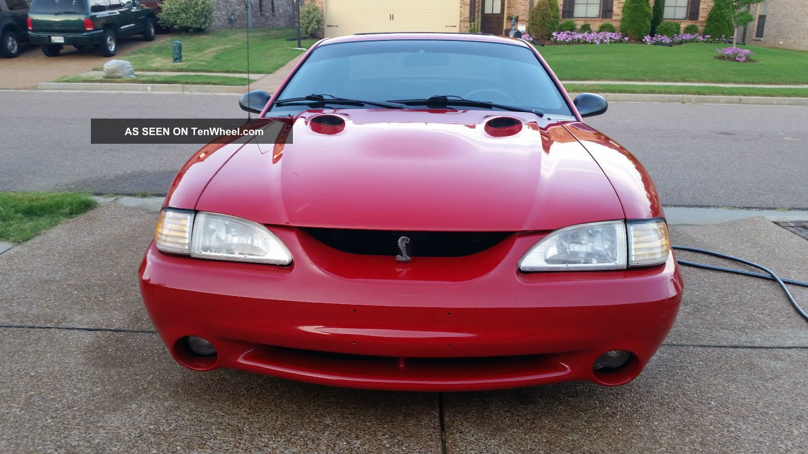 1997 Red Cobra Mustang